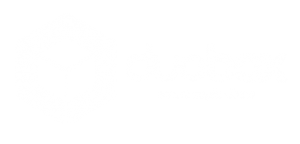 Duobox - Sistema Para Provedores de Internet - Cascavel/PR